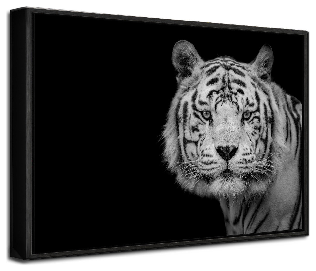 Bengal White Tiger' Wrapped Canvas Wall Art by Nauzet Baez, 48" W x 32 ...