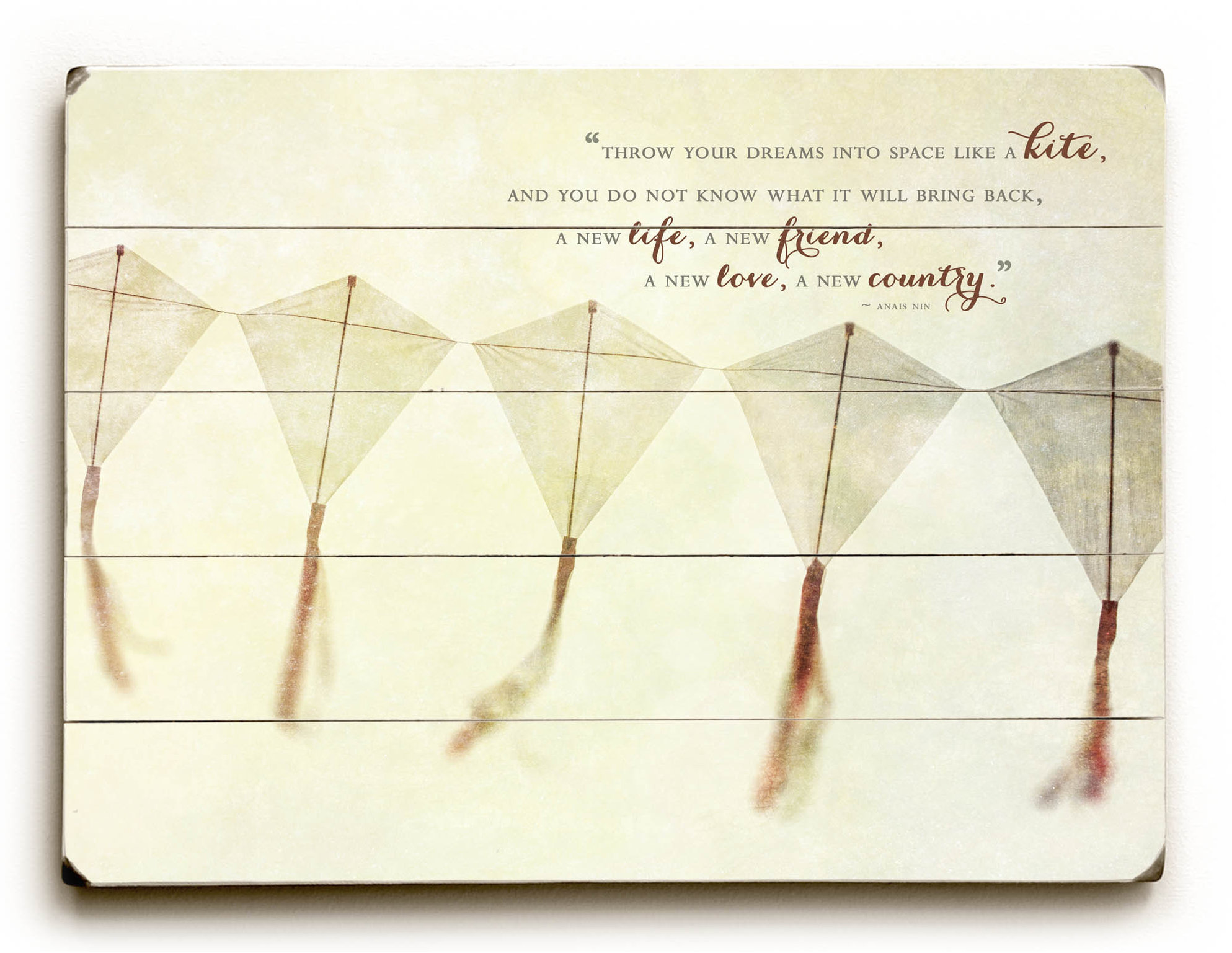 Kite Wooden Sign, 30x40 - Contemporary - Novelty Signs - by Lightning E ...