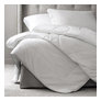 Orbis Comforter, Queen - Traditional - Duvet Covers And Duvet Sets - by ...