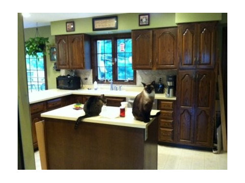 Update to 1984 Kitchen | Houzz Forum