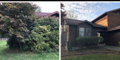Can anyone help me with landscaping mock-up or advice?