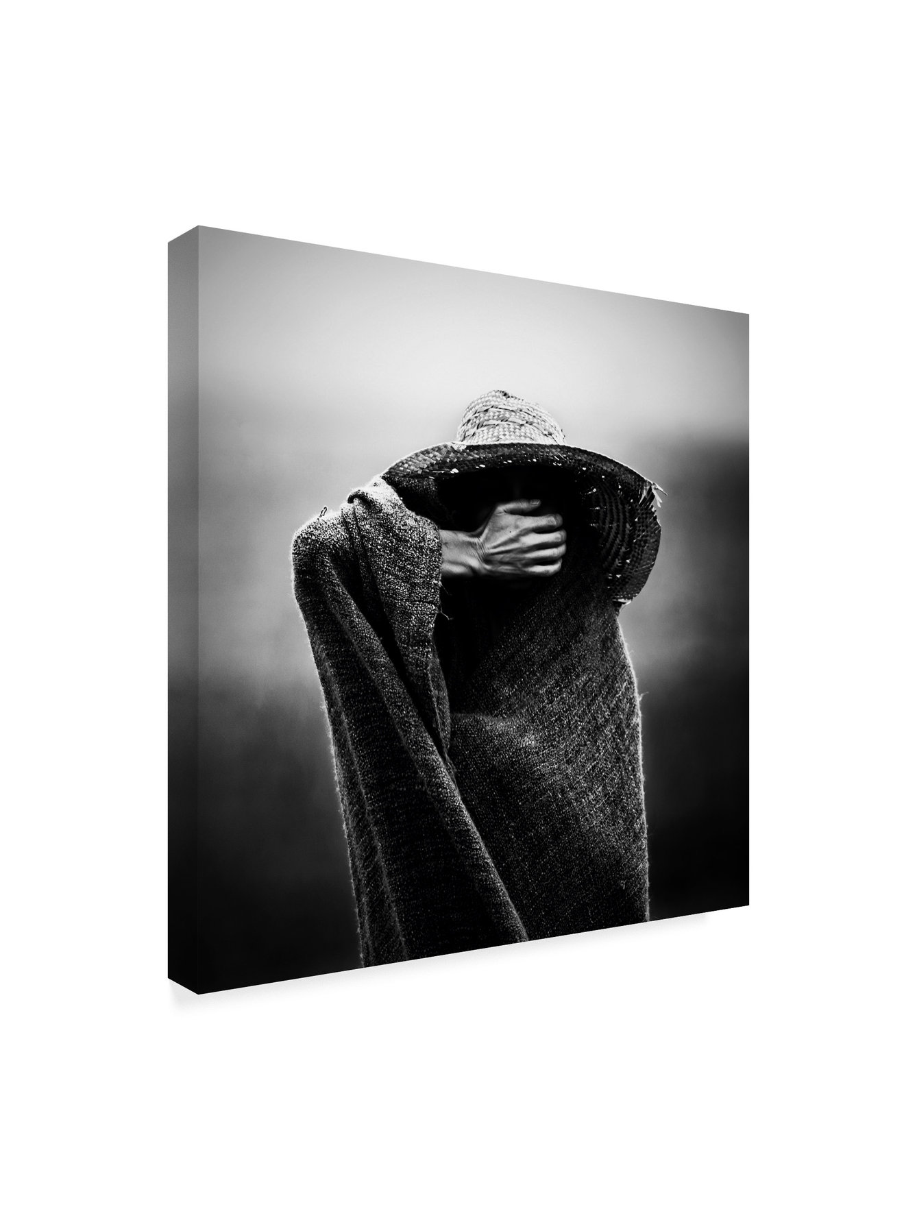 Mikhail Potapov 'Mask Bw Portrait' Canvas Art, 14"x14" - Contemporary ...