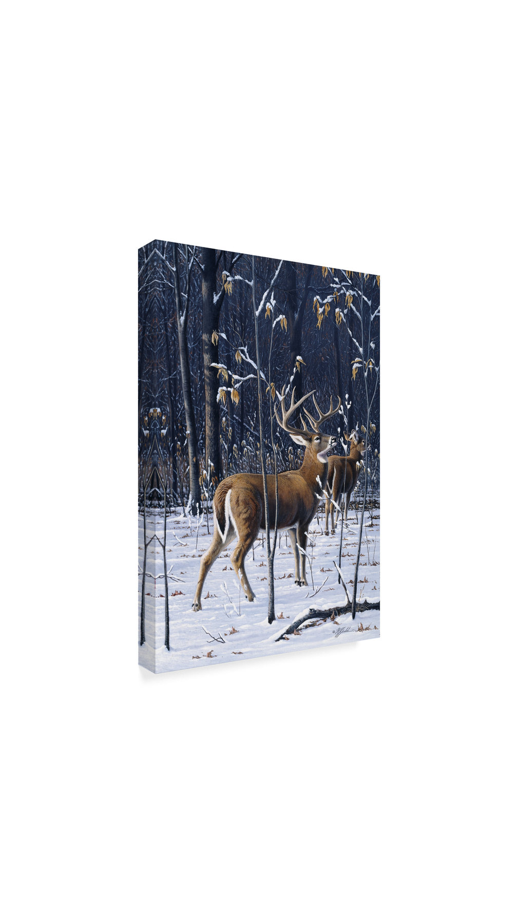 Wilhelm Goebel 'Buck In His Prime' Canvas Art, 47"x30" - Rustic ...