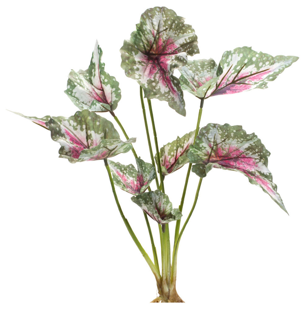 Caladium Bush, 6-Piece Set - Traditional - Artificial Flower ...