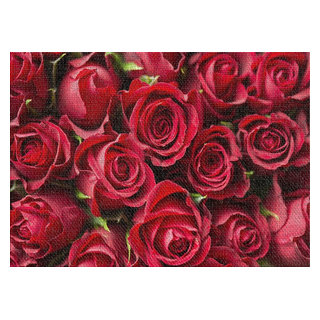 Red Roses Area Rug, 5'0"x7'0" - Traditional - Novelty Rugs - by Ahgly ...