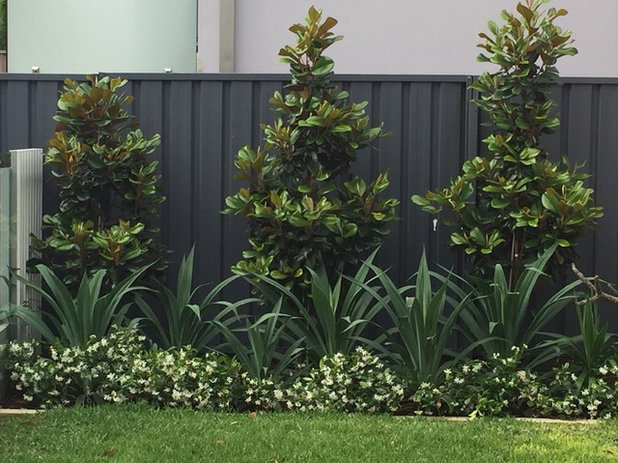 How Do I... Create a Hamptons-Style Garden? | Houzz NZ