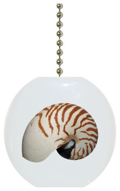 Nautilus Seashell Ceiling Fan Pull - Beach Style - Ceiling Fan ...