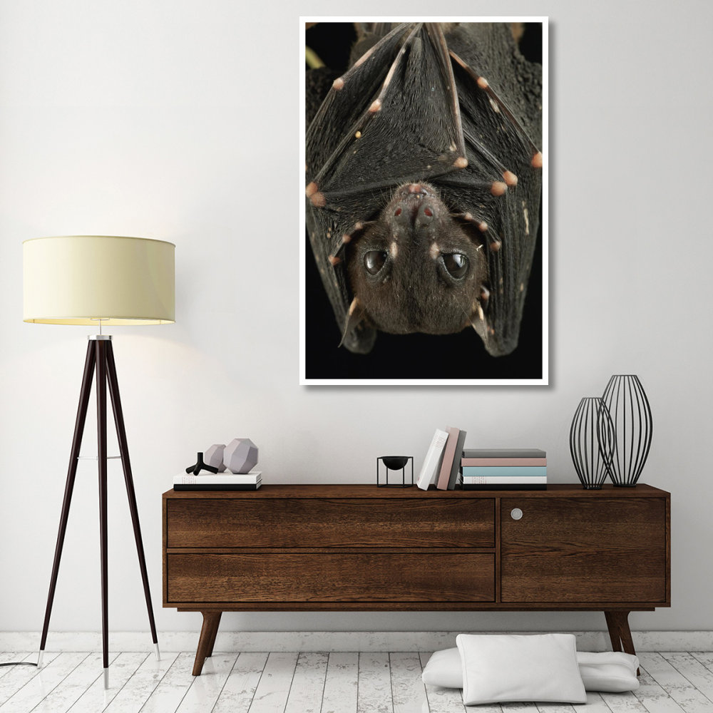 "Spotted-winged Fruit Bat, Bukit Sarang Conservation Area" Paper Art ...