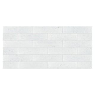 Shaw 194TS Geoscape - 3