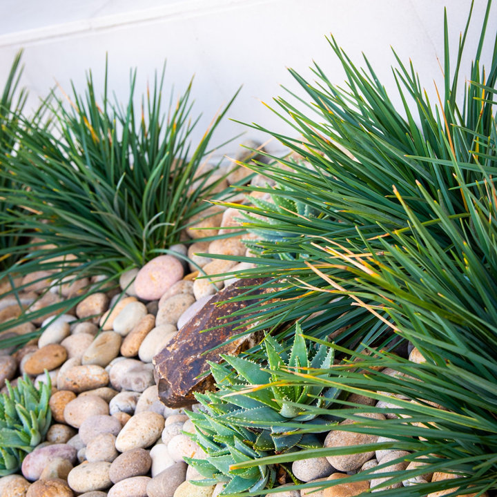 75 River Rock Lawn Edging Ideas You'll Love - October, 2025 | Houzz