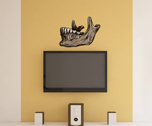 Skeleton Bone Vinyl Wall Decal SkeletonBoneUScolor007, 72 in ...