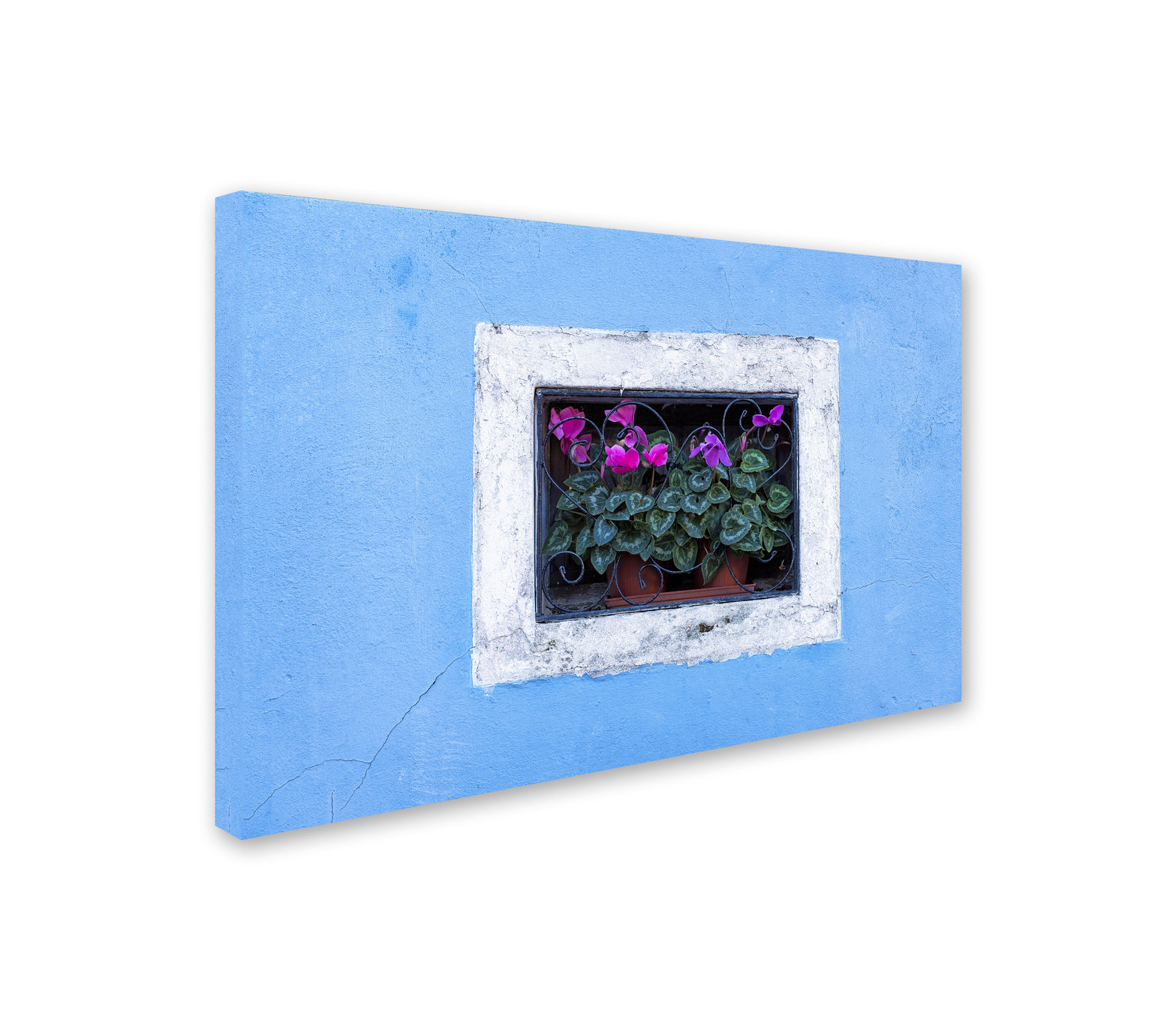 Michael Blanchette 'Caged and Framed' Canvas Art, 19"x12 ...