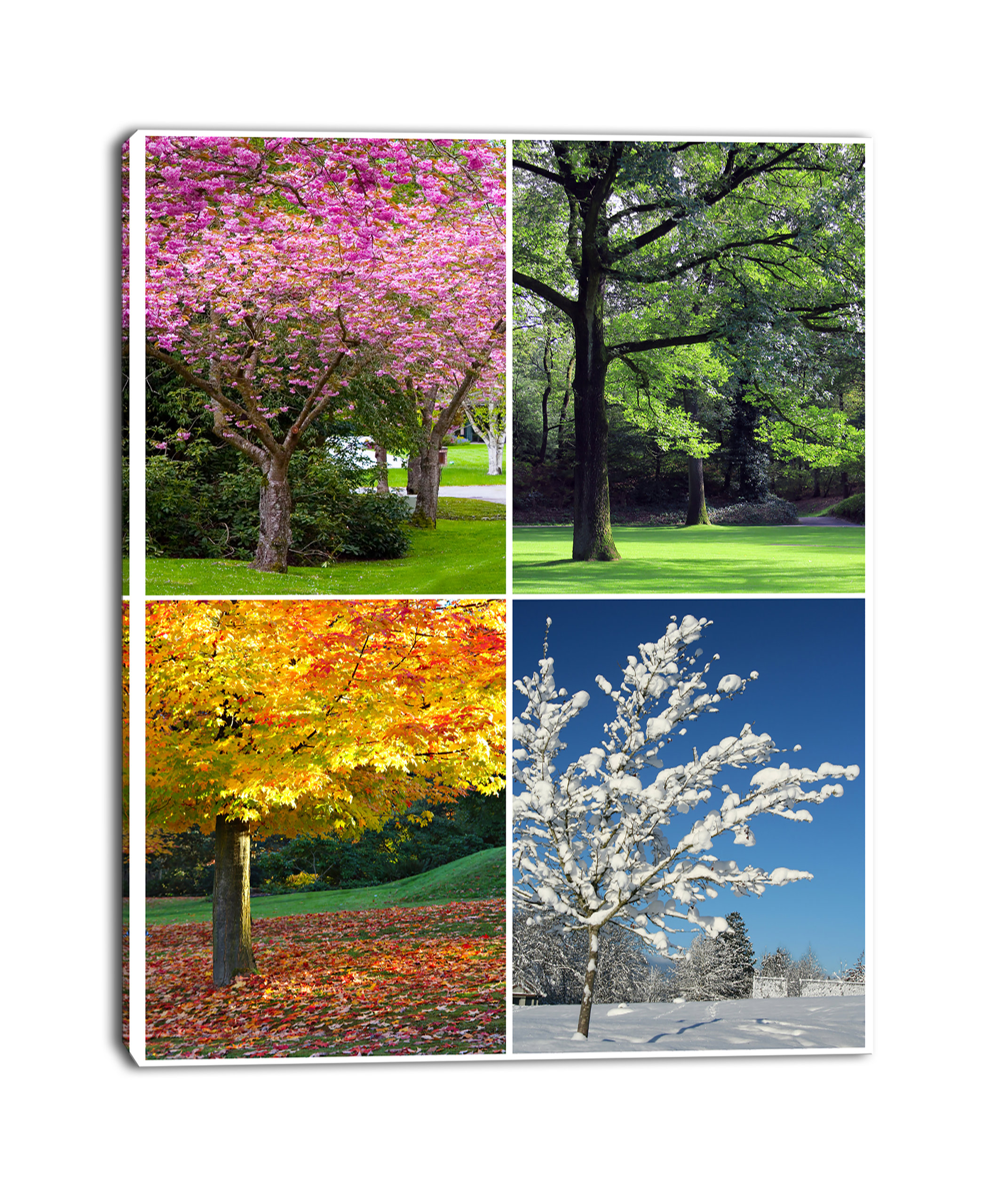 Four Seasons Trees Collage, Landscape Canvas Art Print, 12"x20 ...