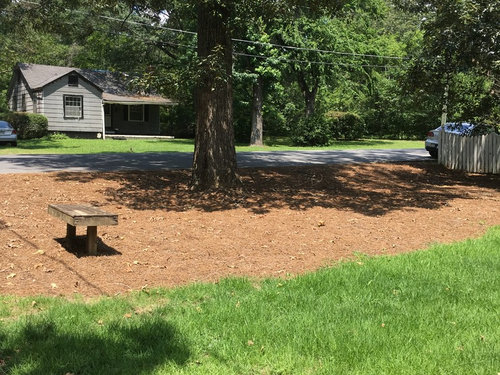 Front Yard Landscaping in Georgia
