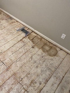 Subfloor damage?