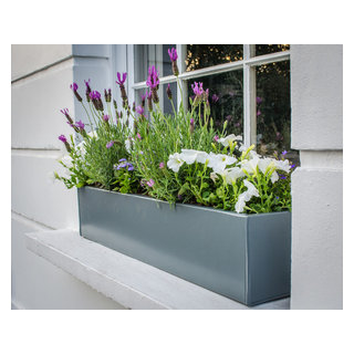 Islington townhouse - Contemporary - London - by The Plant Pot Shop ...