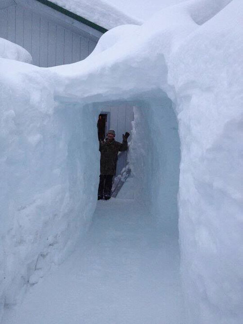 Here's our snow door...
