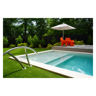 Great Oaks Tiny Pool - Modern - Pool - Austin - by Texas Tiny Pools | Houzz