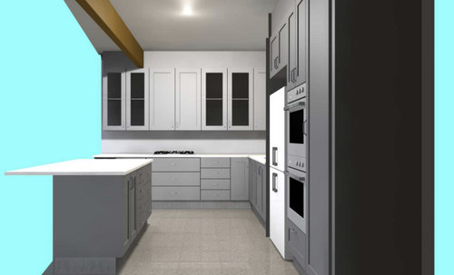 Kitchen Design/Layout Advise/Input | Houzz Forum
