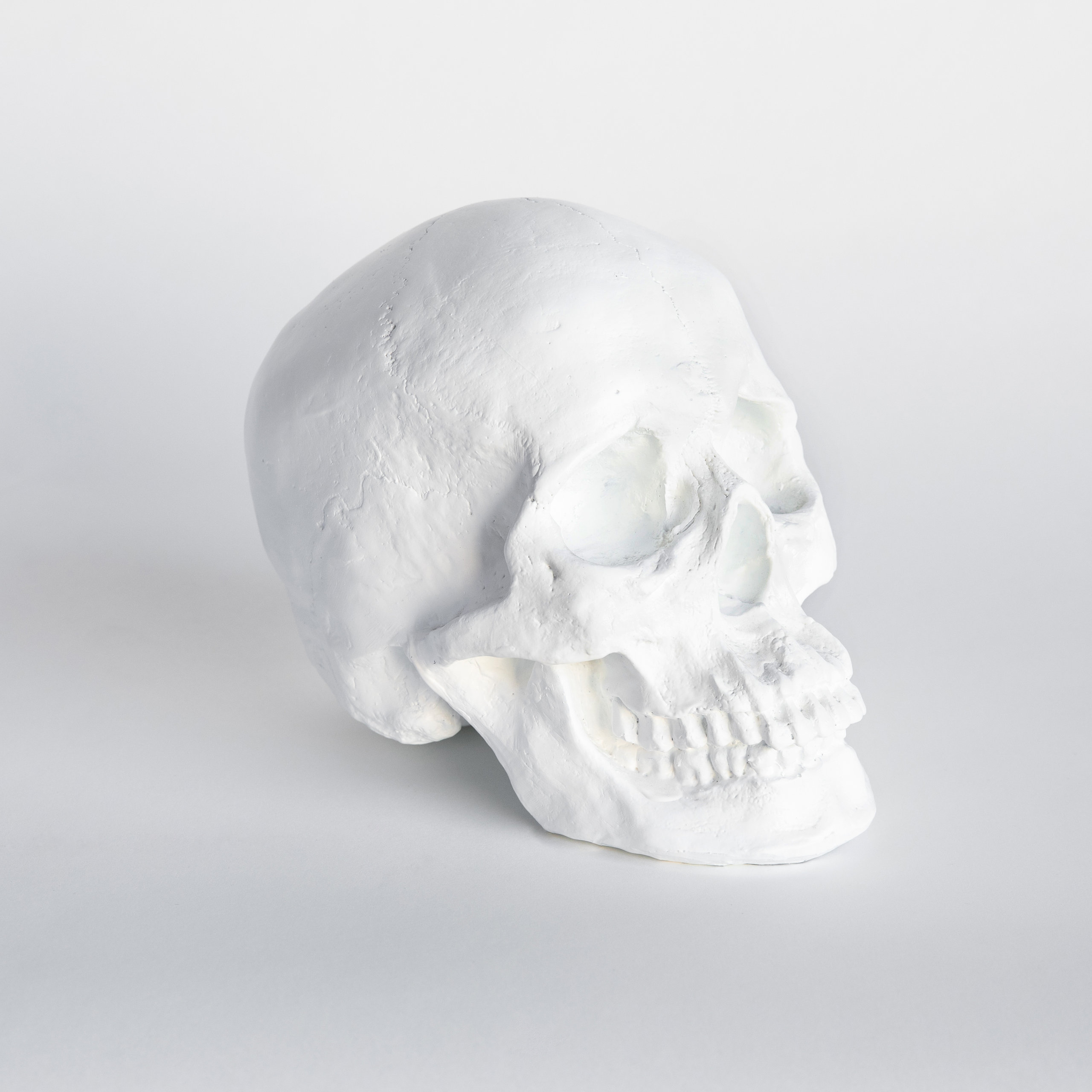 Faux Human Skull, Resin Home Decor, Table Top Skeleton Head - Eclectic ...