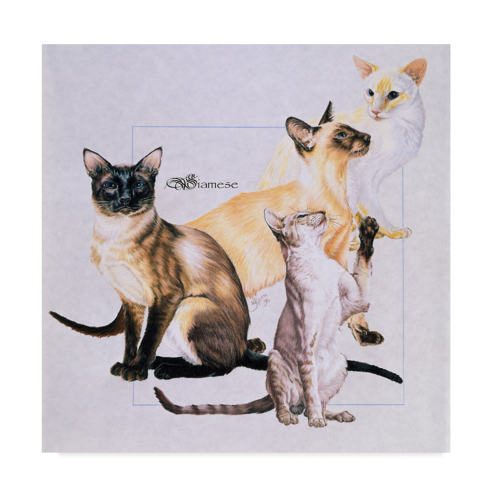 "Siamese" by Barbara Keith, Canvas Art, 14"x14" - Contemporary - Prints ...