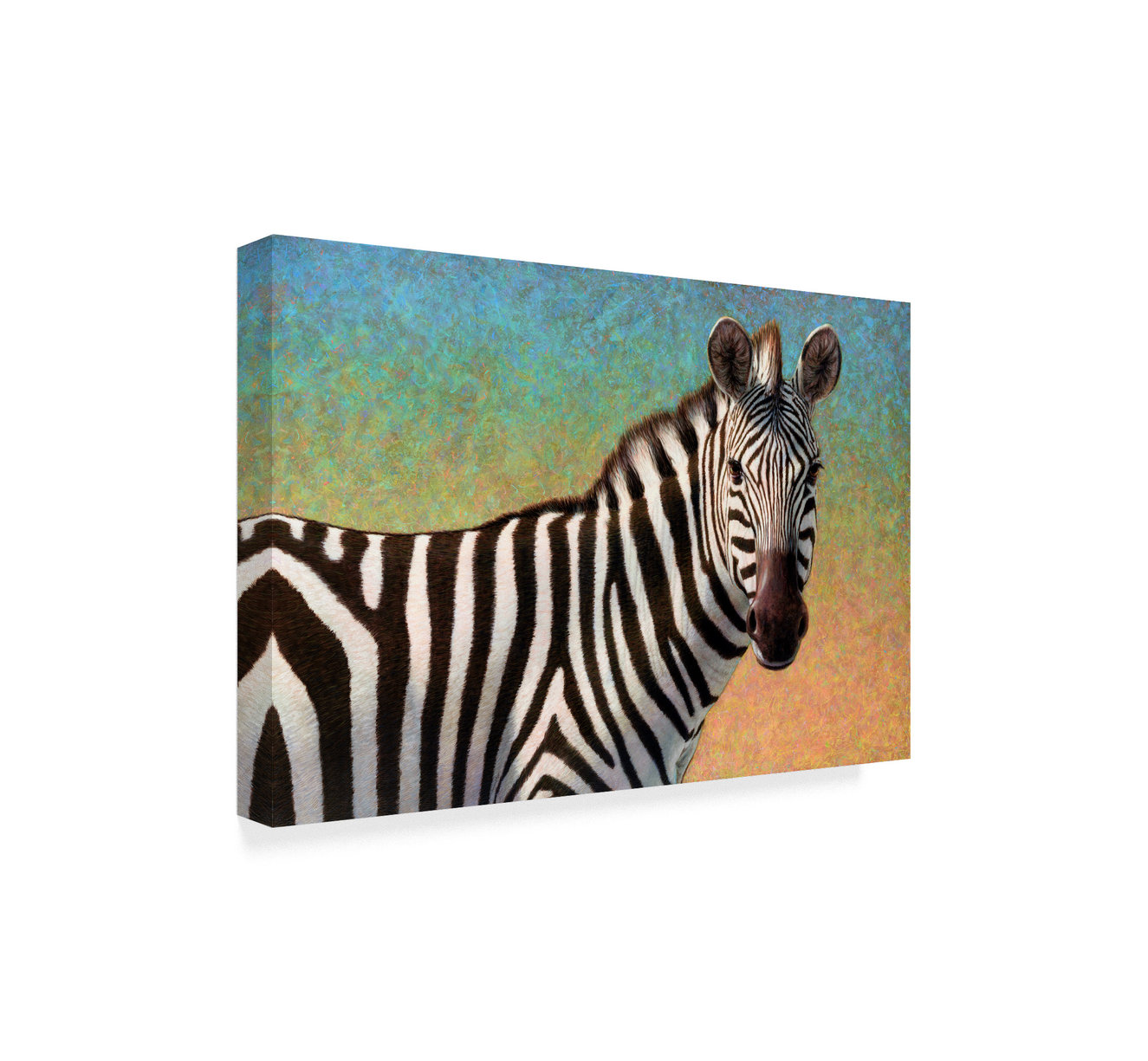 James W. Johnson 'Portrait Of A Zebra' Canvas Art, 47"x30 ...