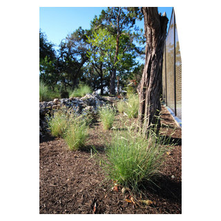 Jester's Crown - Contemporary - Landscape - Austin - by Native Edge ...