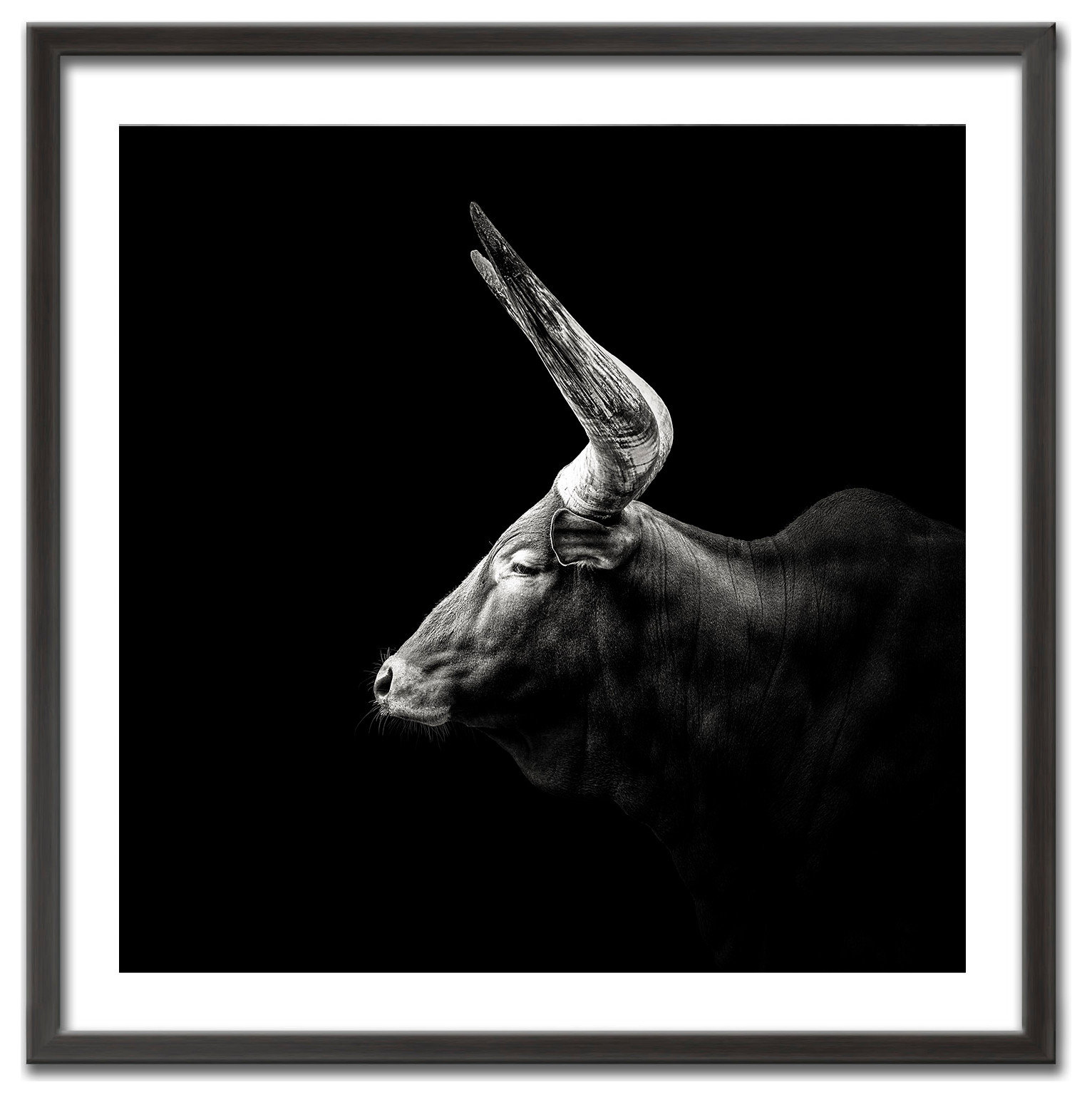 Watusi Framed Print Wall Art by Christian Meermann, 16"x16 ...
