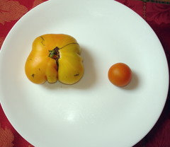 Limmony and Juane Flamme -- my 2017 Review so far...