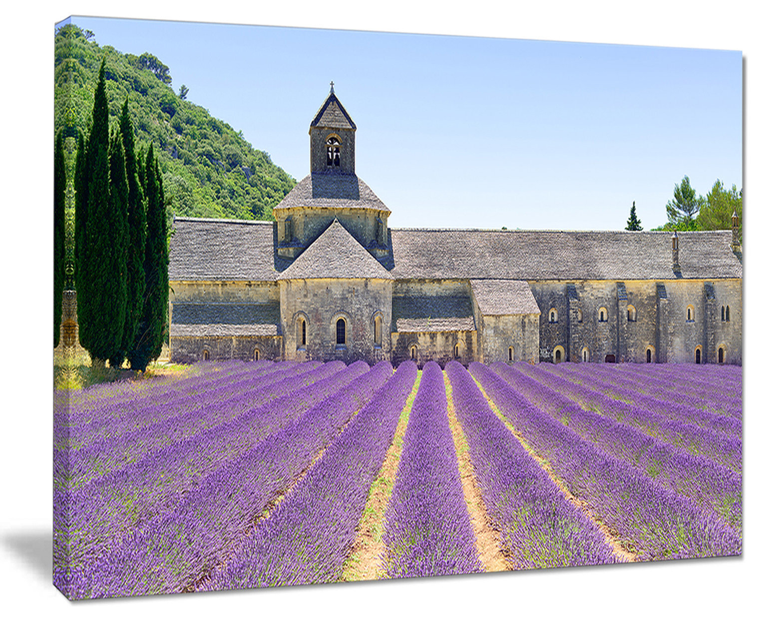 "Abbey of Senanque Blooming Lavender" Landscape Wall Art, 20"x12 ...