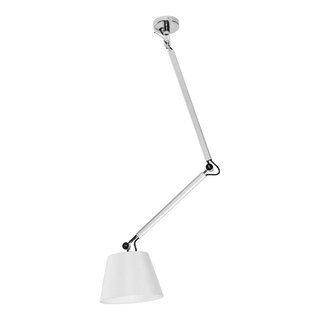 1-Light Adjustable Arm Fixture, Silver Finish - Transitional - Pendant ...