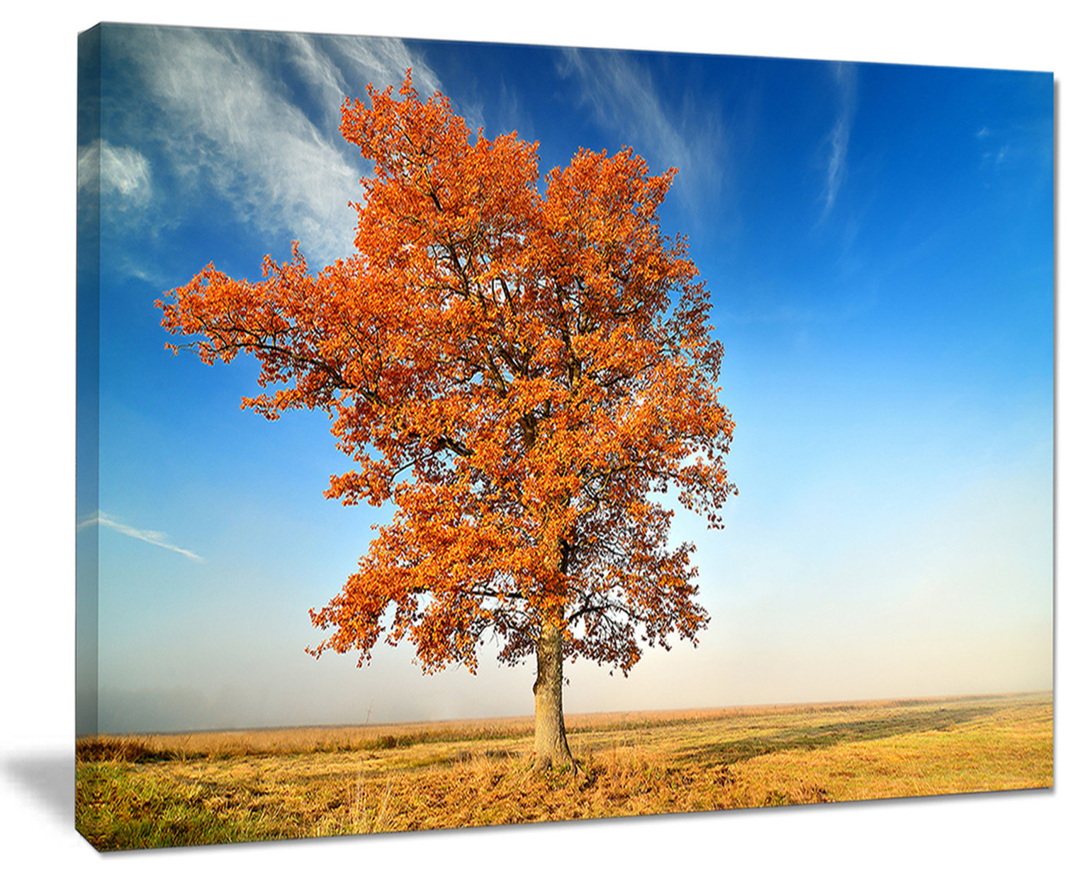 "Colorful Lonely Fall Tree" Landscape Canvas Photo Print, 20"x12 ...