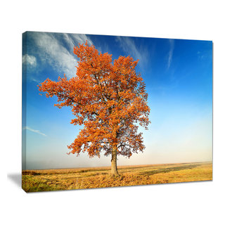 "Colorful Lonely Fall Tree" Landscape Canvas Photo Print, 20"x12 ...