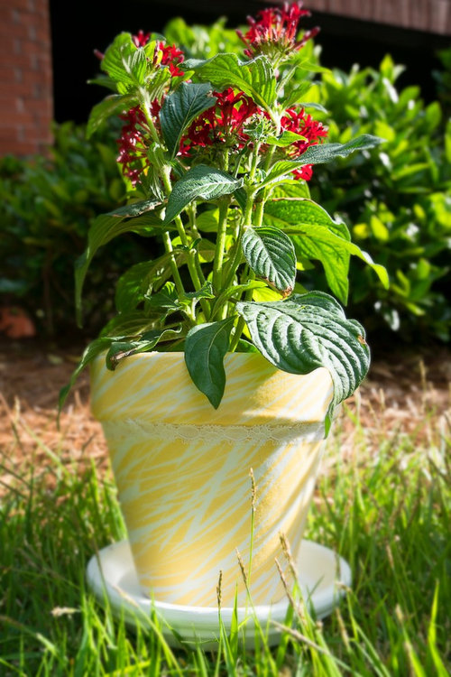 Flower Pot Transformation with Custom Fabric