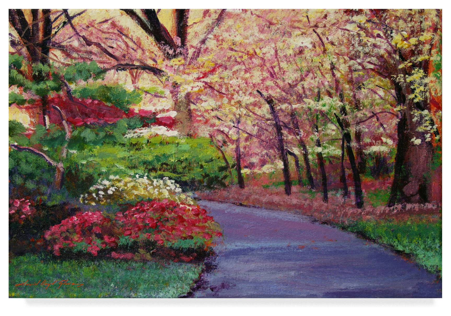 "A Spring Blossom Impressions" by David Lloyd Glover, Canvas Art, 16 ...