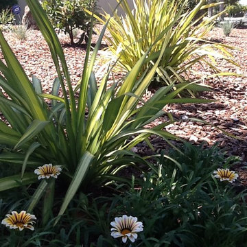 Street Corner Landscape - Photos & Ideas | Houzz