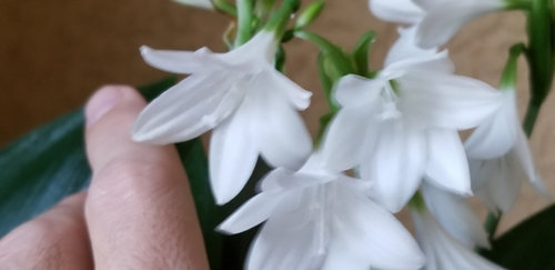 Can you name it?