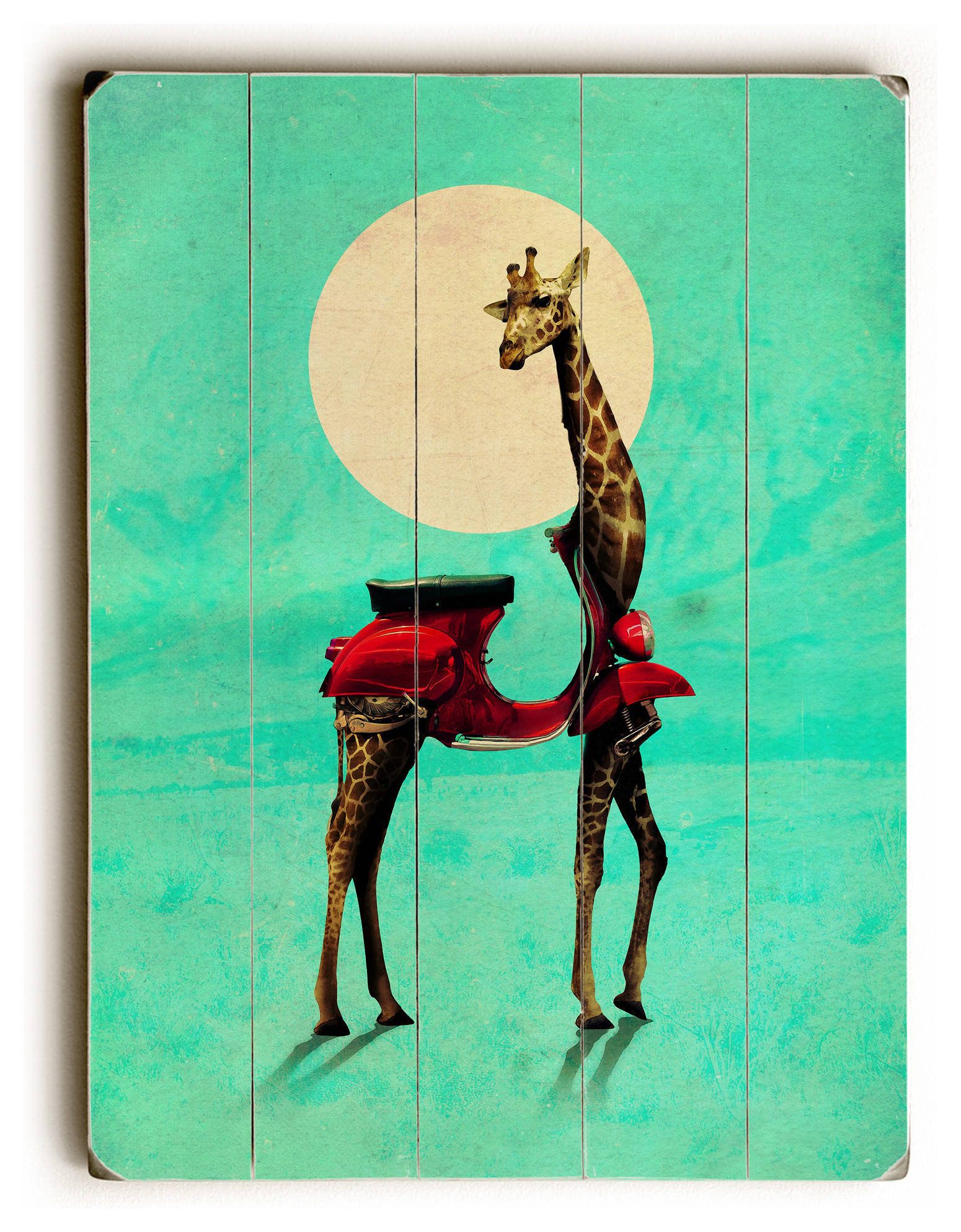 "Giraffe", Multi Wall Decor By Ali Gulec, 25"x34" - Eclectic - Kids ...