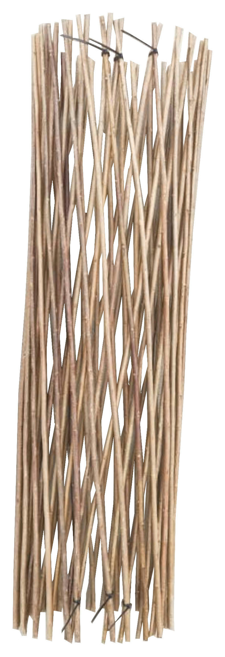 Willow Cone Trellis, 36"H - Contemporary - Garden Trellises - by Master ...