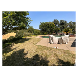 Artificial Turf Lafayette CA - Contemporary - Pool - San Francisco - by ...