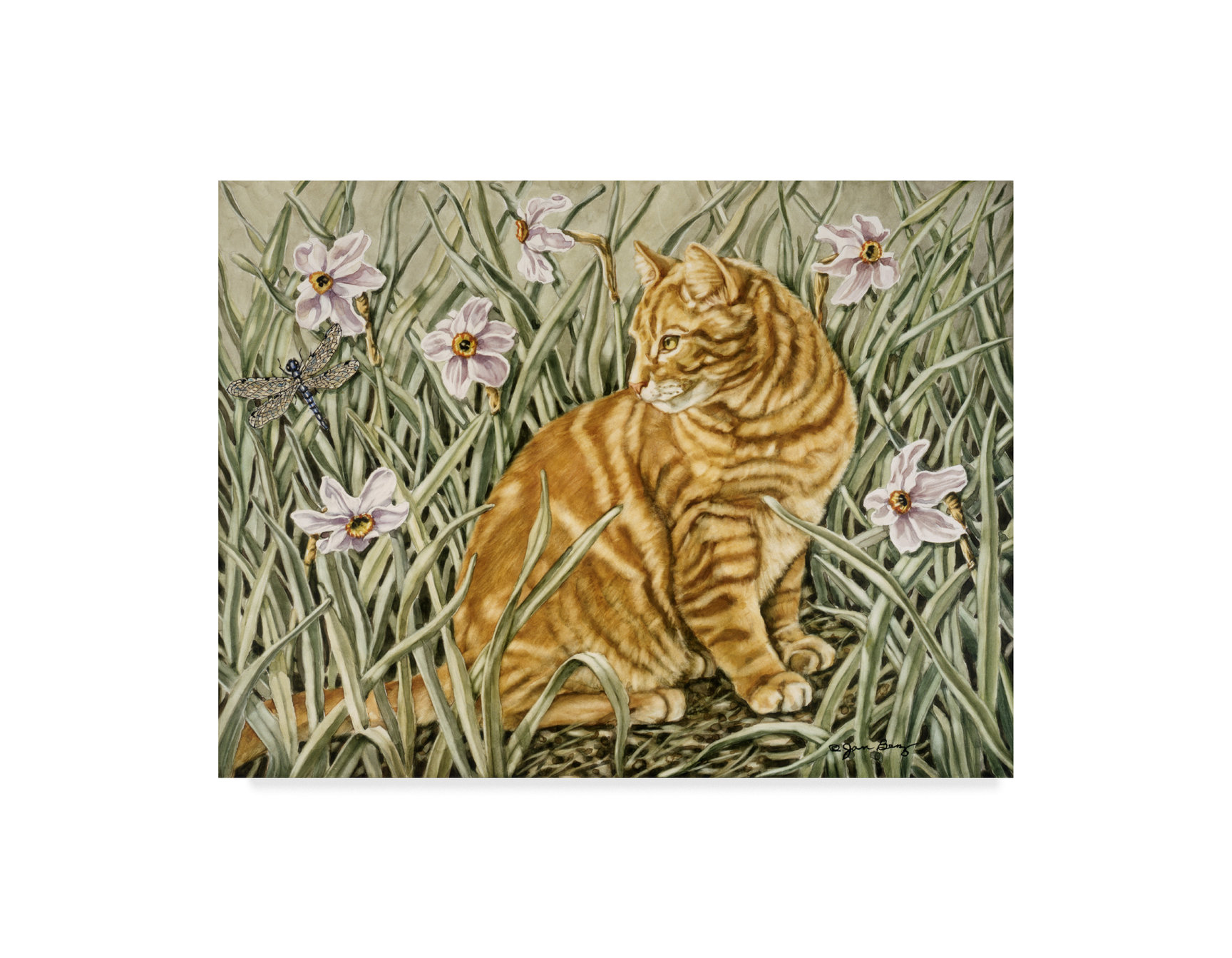 Jan Benz 'To Catch A Dragonfly' Canvas Art, 24"x18" - Contemporary ...