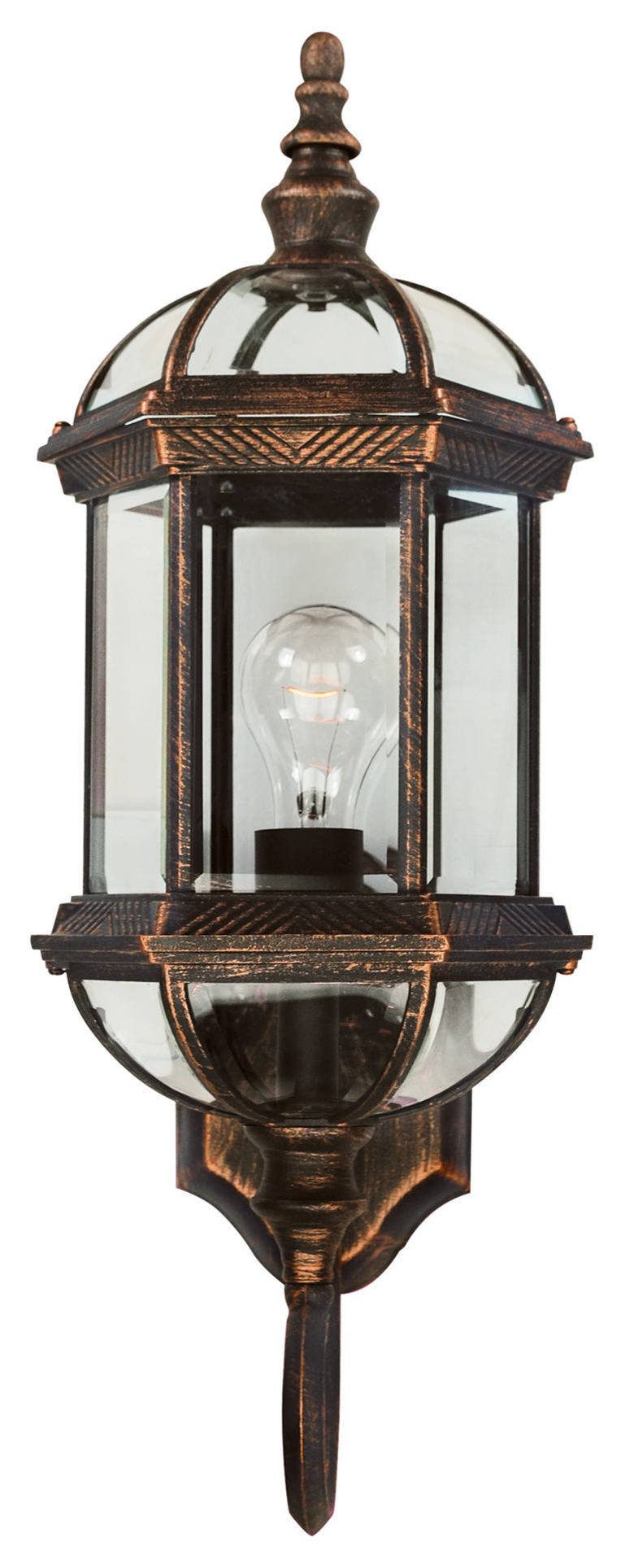 1 Light Coach Lantern - Traditional - Outdoor Wall Lights And Sconces ...