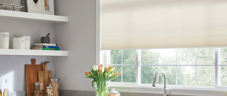 BUMBLE BEE BLINDS OF NW AUSTIN - Project Photos & Reviews - AUSTIN, TX US | Houzz