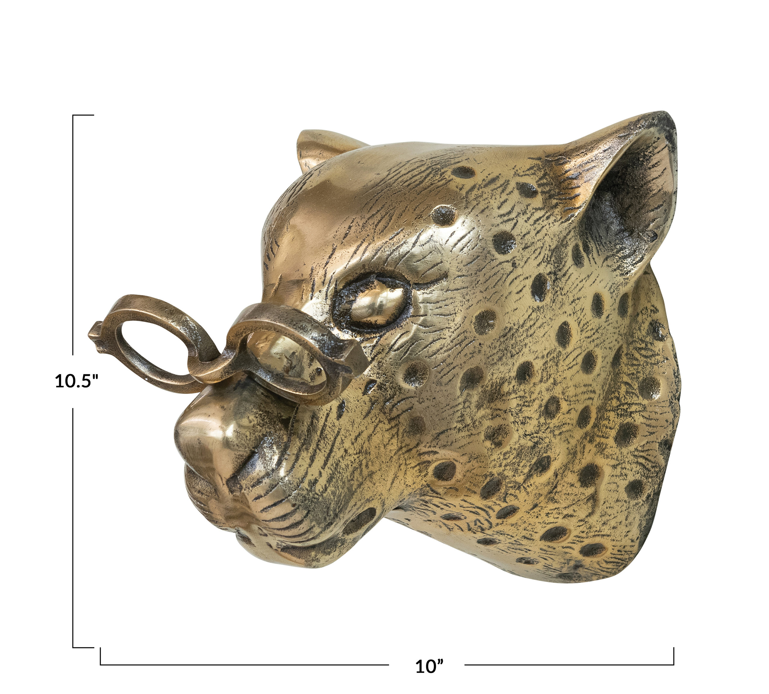 Cast Aluminum Cheetah Head With Eyeglasses Wall Decor, Antique Brass ...
