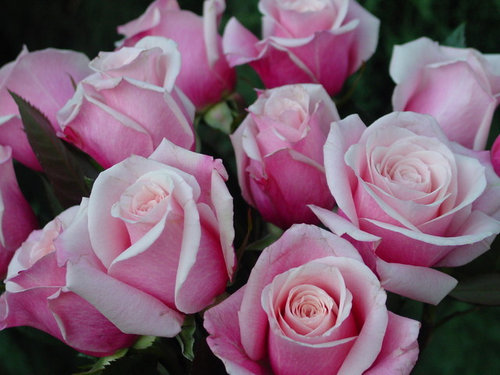 Swept away by this coloring