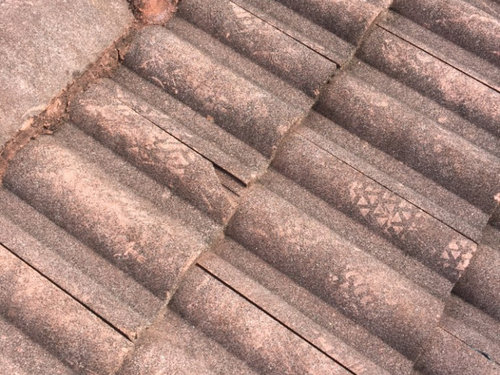 Help pick paint for neighbor