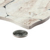 Caldera Roques Sand Porcelain Floor and Wall Tile - Contemporary - Wall ...