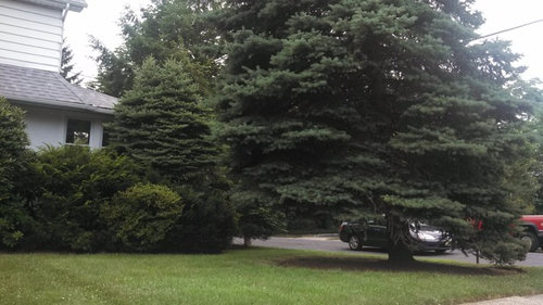 First house, boring front exterior, and insane front landscaping.