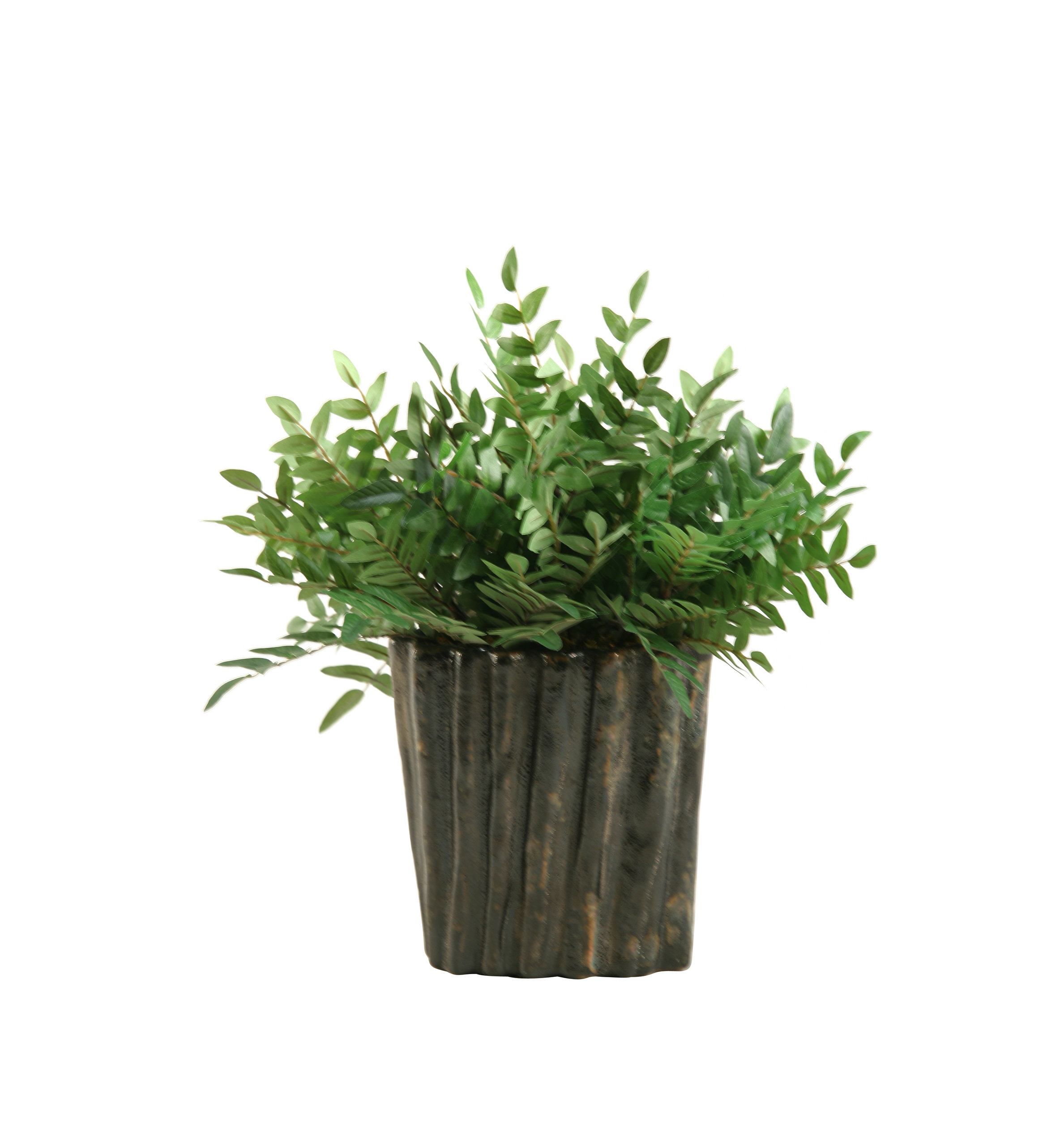 Green Locust Spray in Oval Ceramic Planter - Contemporary - Artificial ...