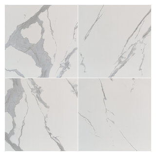 Eden Statuary Polished Porcelain Tile, Sample - Traditional - Wall And ...